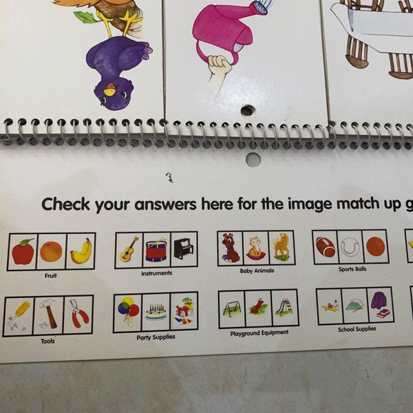 Matching and Sequencing Flip Book – Young at Heart